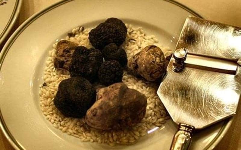 Truffle Festivals Take Over Italy in Autumn 2025 - Italy Travel Guide