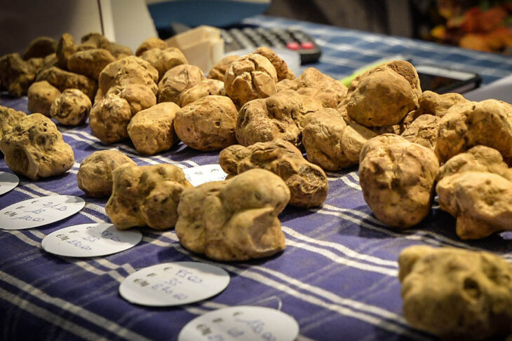 Truffle Festivals Take Over Italy in Autumn 2025 - Italy Travel Guide
